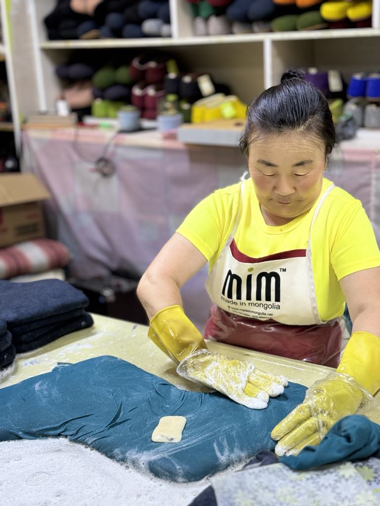 MIM project Asral NGO Mongolia – MIM Ireland